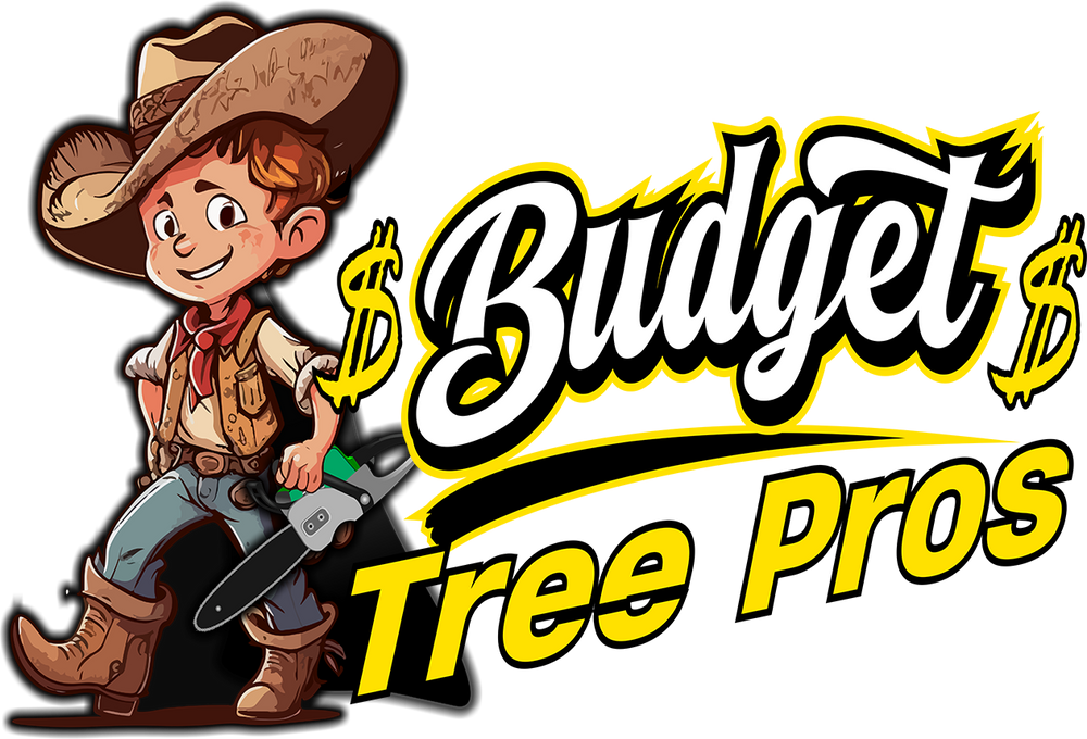 About Us | Budget Tree Pros